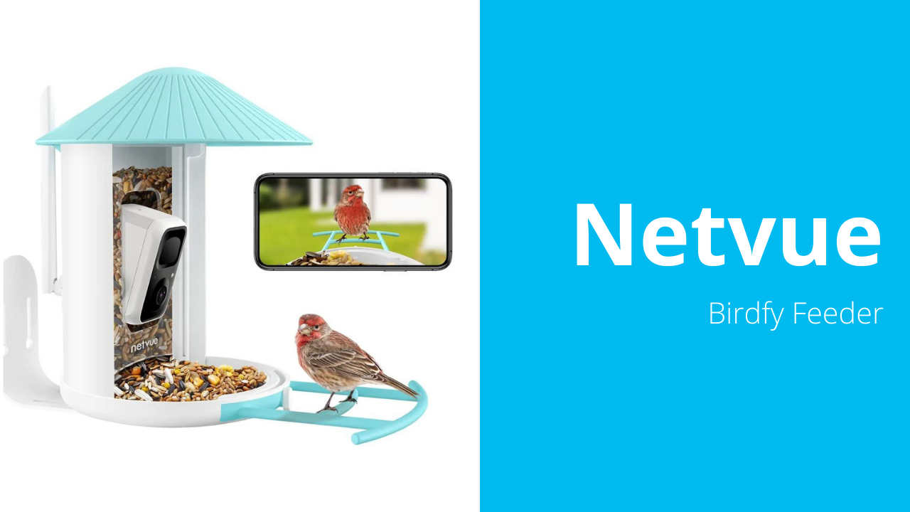 Birdfy Smart Bird Feeder | T is for Tech